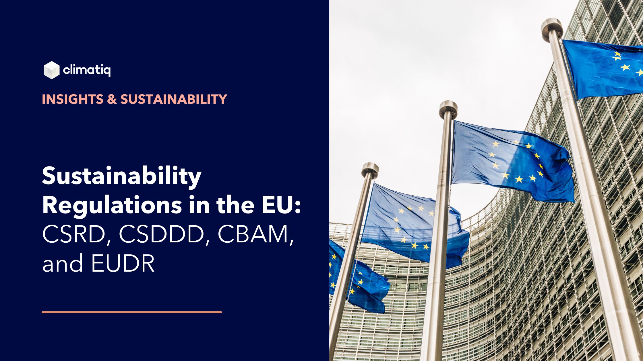 Sustainability Regulations in the EU: What you need to know about CSRD, CSDDD, CBAM, EUDR ...